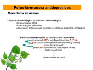 Tratamiento farmacológico de los trastornos de personalidad | PPT