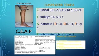Tratamiento insuficiencia venosa del miembro inferior | PPTX