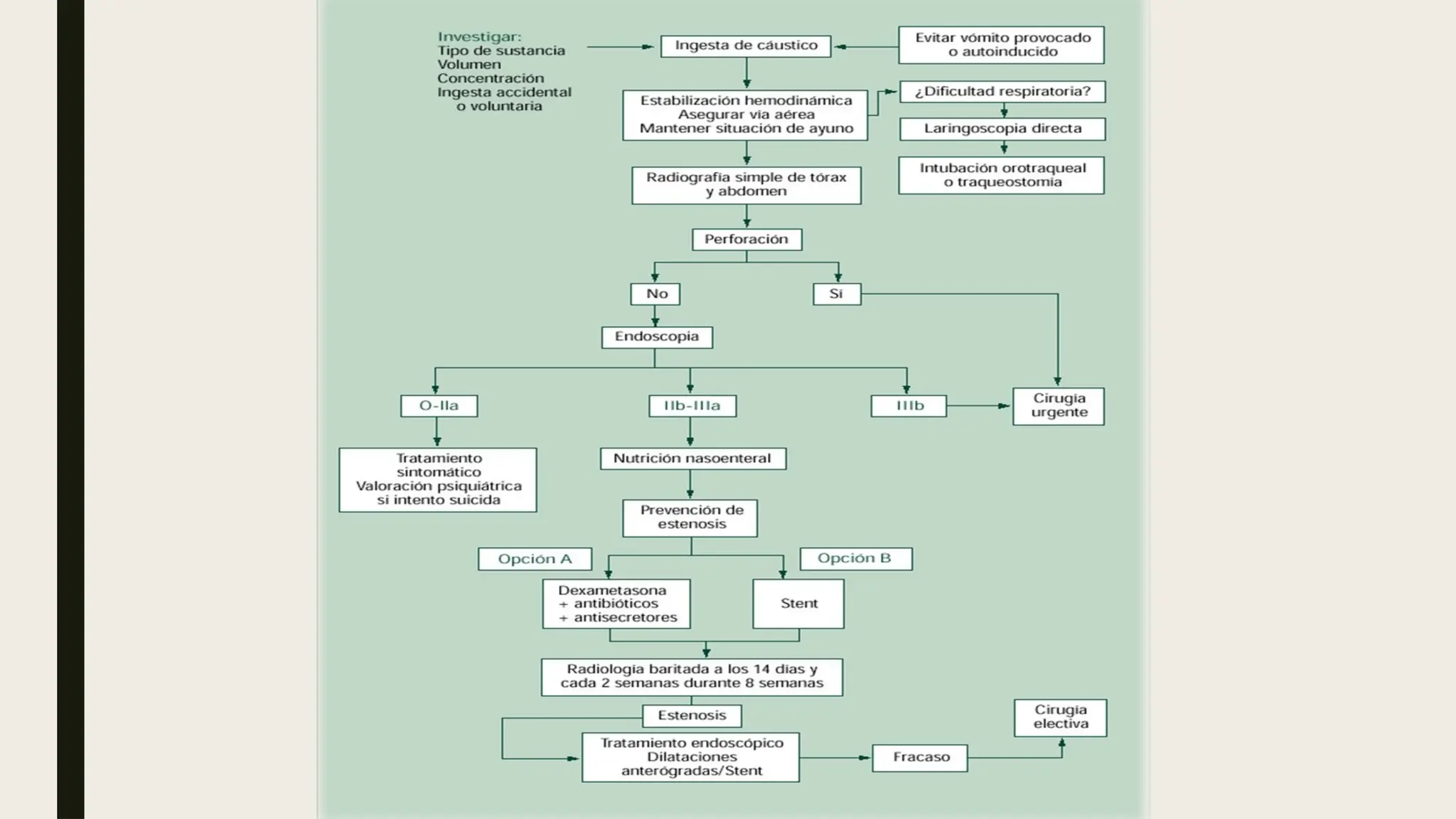 Tratamiento quirúrgico quemadura esofágica.pptx