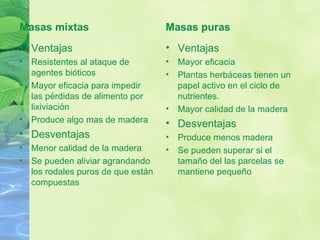 Tratamientos selvícolas | PPT
