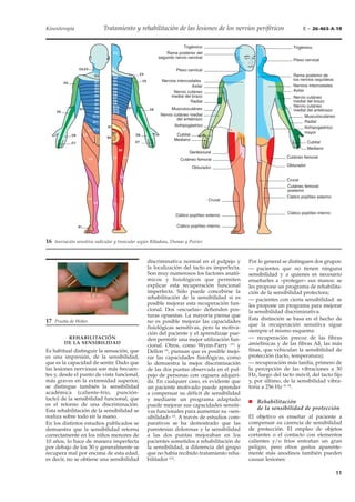 Tratamiento y rehabilitacion de las lesiones | PDF
