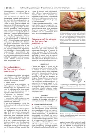 Tratamiento y rehabilitacion de las lesiones | PDF