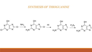 Traube purine synthesis | PPTX