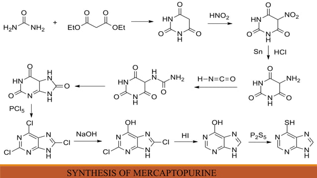 Traube purine synthesis | PPTX