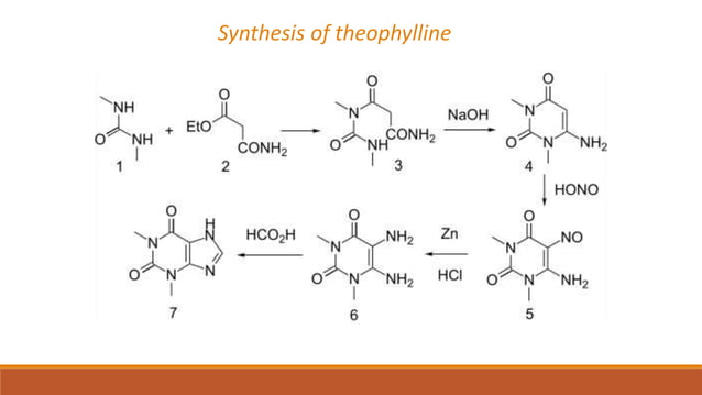 Traube purine synthesis | PPTX