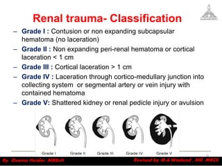 Trauma | PDF