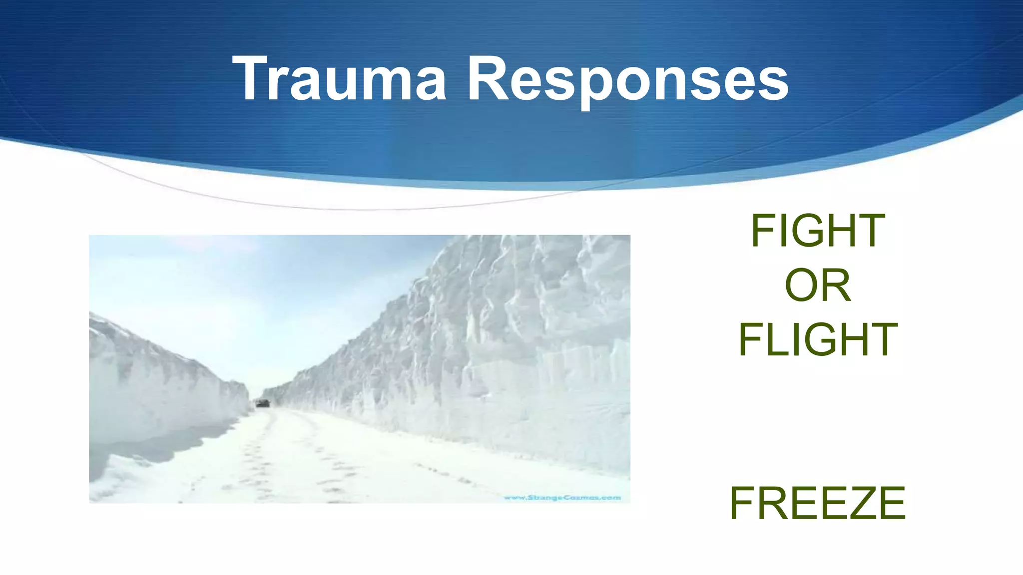 Trauma | PPTX | First Aid | Injuries