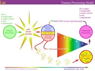 Trauma And Energy Psychology 1200329168438073 4 | PPT