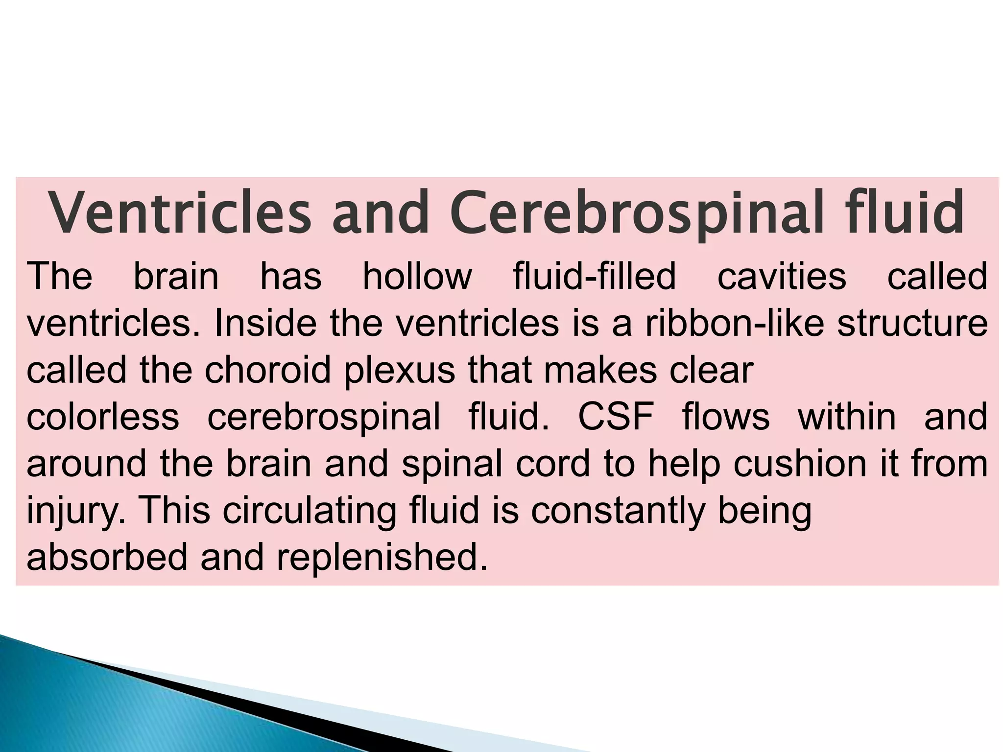 TRAUMA-HYDROCHEPALUS-LAMINECTOMY.ppt