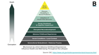 What is Trauma-Informed Design? | PPT