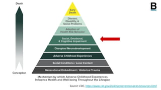 What is Trauma-Informed Design? | PPT