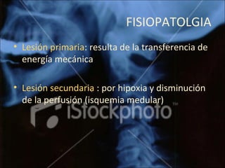 Trauma Medular | PPT