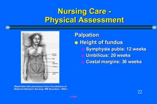 Trauma & Pregnancy | PPT