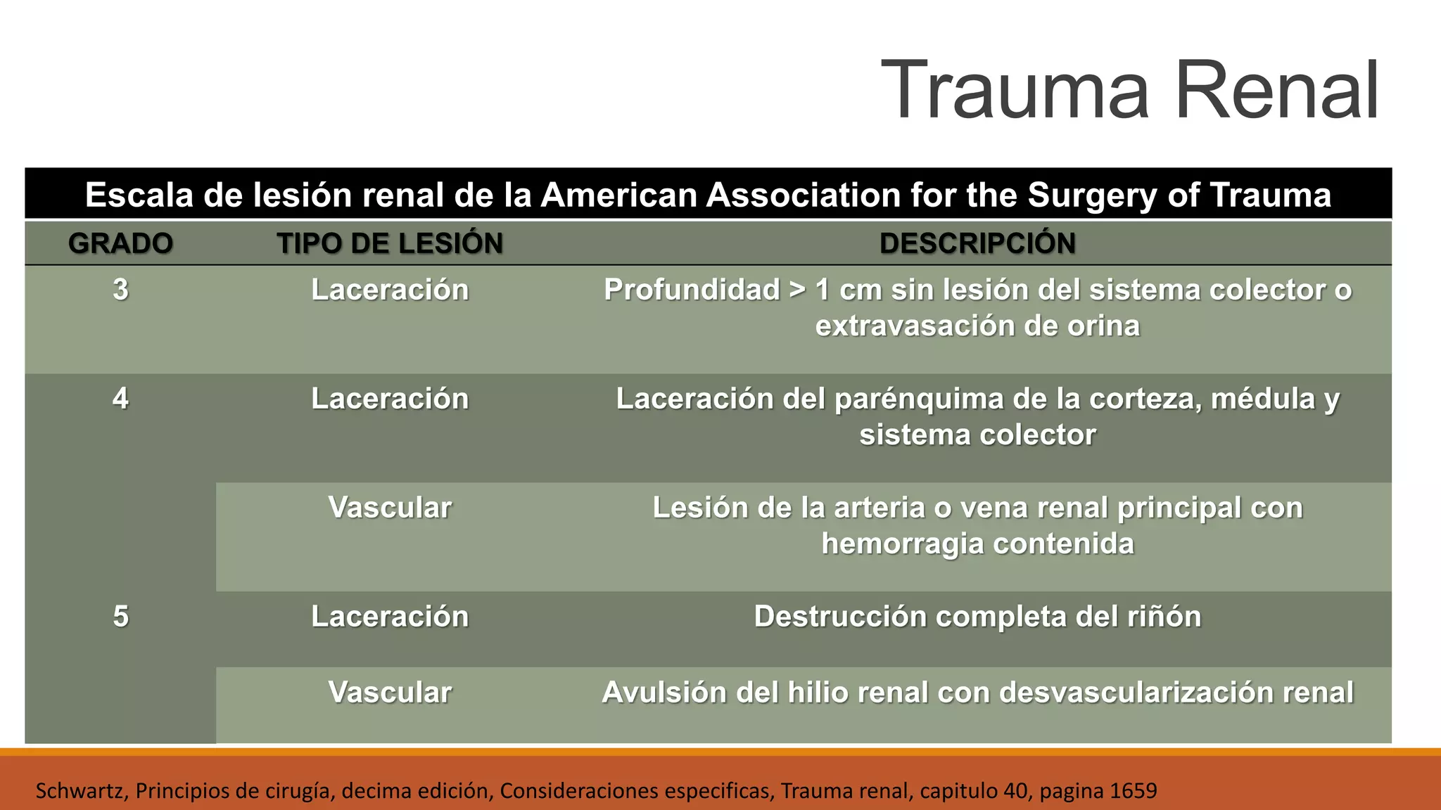 Trauma renal - copia | PPTX