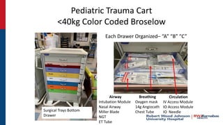 Trauma 101 | PDF