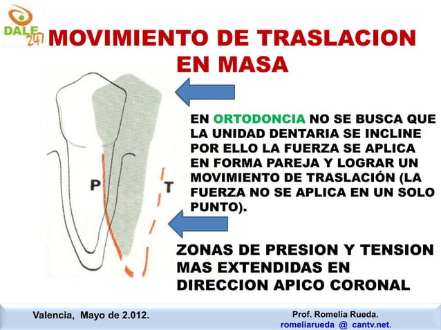 Trauma Oclusal Periodoncia | PPTX