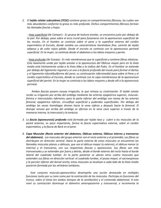 Trauma abdominal | DOCX