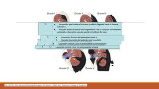 Trauma abdominal y pélvico segun Atls pdf | PDF