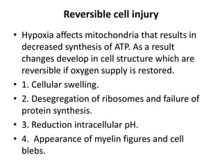 Trauma and cellular injury in pathophysiology | PPTX