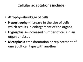 Trauma and cellular injury in pathophysiology | PPTX