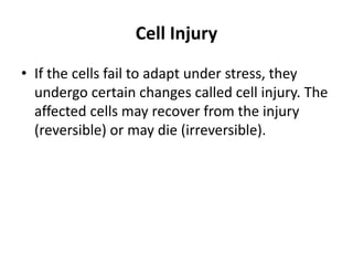 Trauma and cellular injury in pathophysiology | PPTX