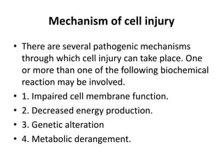 Trauma and cellular injury in pathophysiology | PPTX
