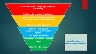 Trauma and development | PPTX