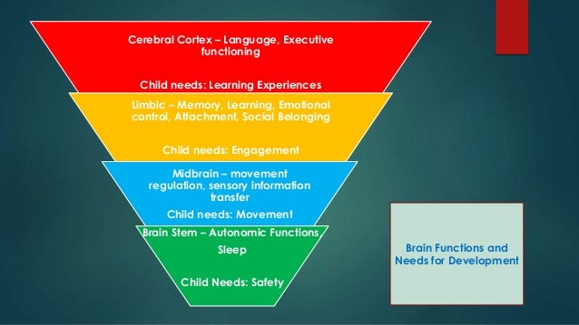 Trauma and development