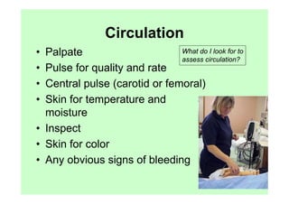 Trauma Assessment | PDF