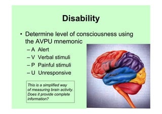 Trauma Assessment | PDF