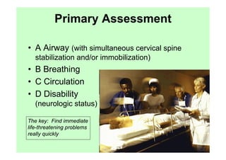 Trauma Assessment | PDF