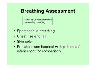 Trauma Assessment | PDF