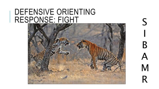 Somatic approaches to treating biopsychosocial impacts of trauma ...