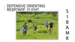 Somatic approaches to treating biopsychosocial impacts of trauma ...