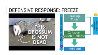 Somatic approaches to treating biopsychosocial impacts of trauma ...