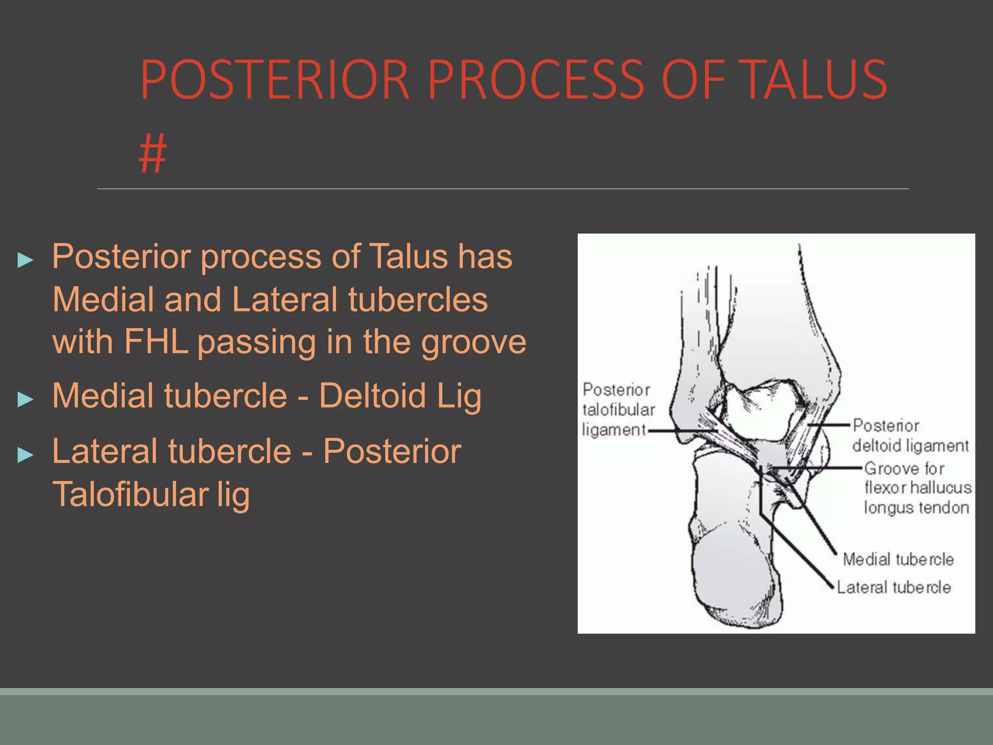 TRAUMA CON-TALAR FRACTURES.pptx