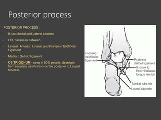 TRAUMA CON-TALAR FRACTURES.pptx