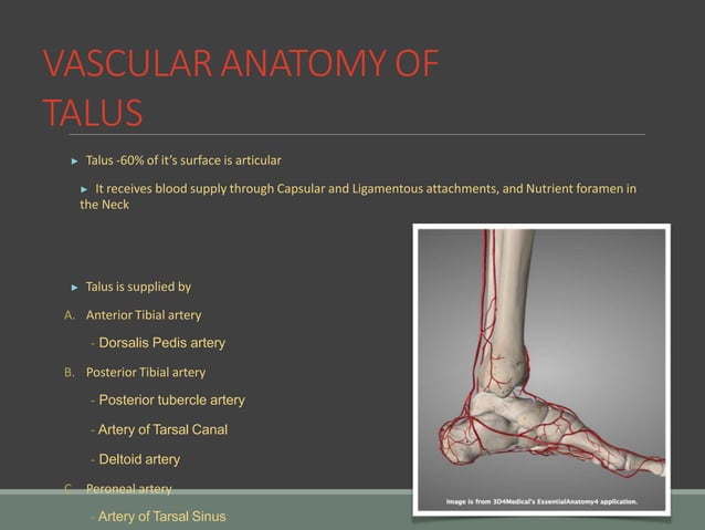 TRAUMA CON-TALAR FRACTURES.pptx