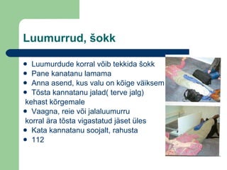 Traumad. PõRutused, Nikastus, Nihestus, Luumurrud | PPT