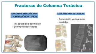 Trauma de Columna y Médula Espinal y caracteristicas | PDF