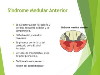 Trauma de columna y medula espinal ATLS | PPTX