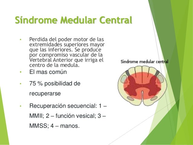 Trauma de columna y medula espinal ATLS
