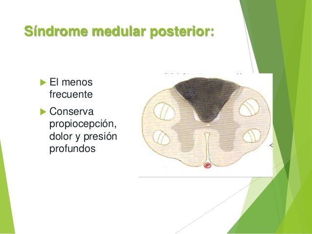 Trauma de columna y medula espinal ATLS
