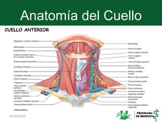 Trauma de cuello ATLS | PPTX
