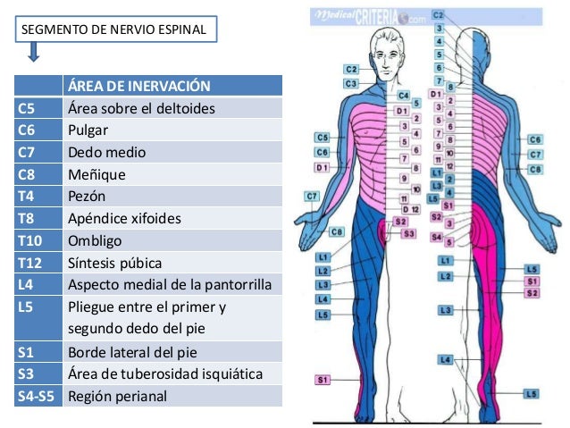 Trauma de la columna vertebral y medula espinal.