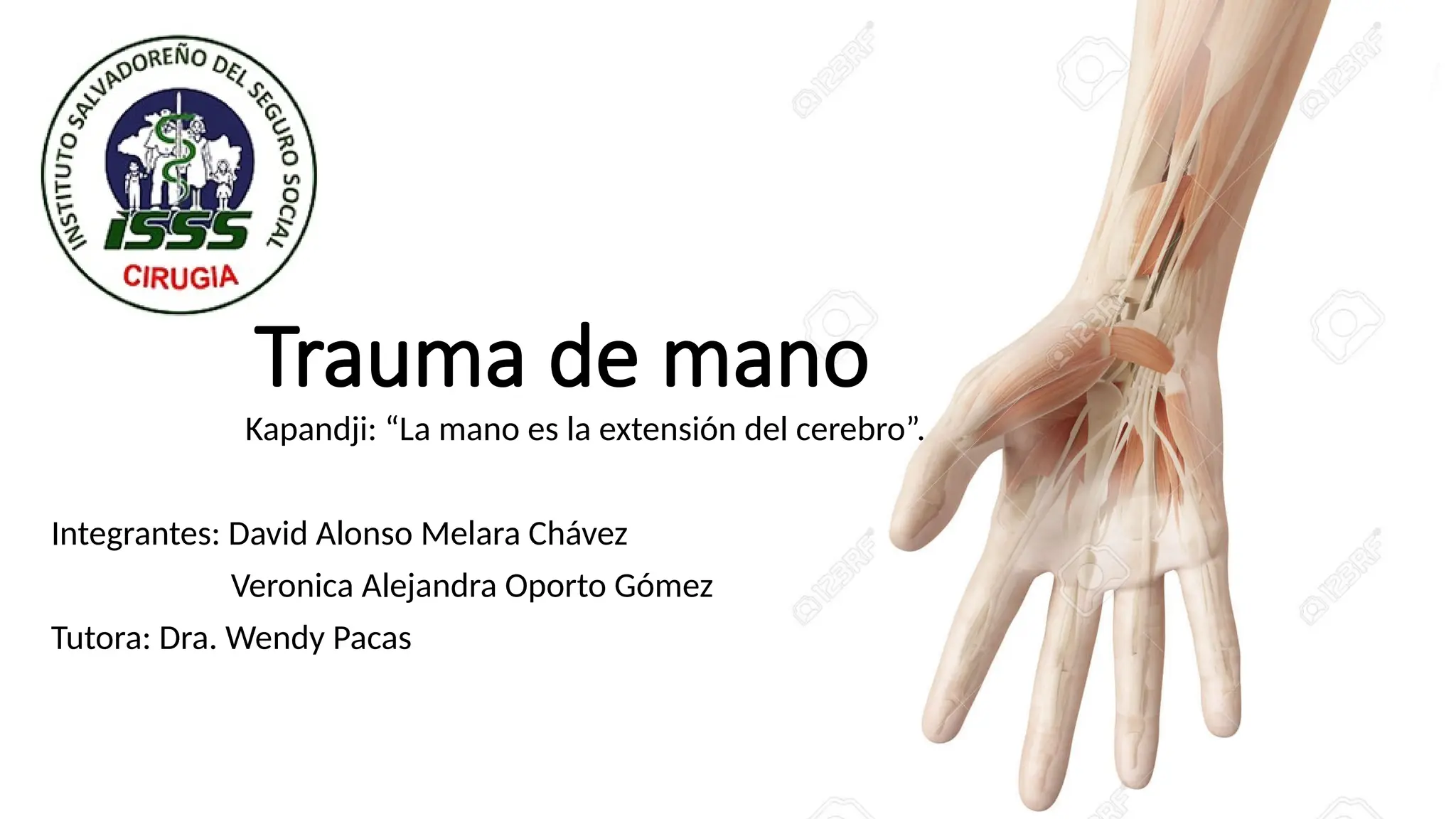Trauma de mano- Anatomia descriptiva ashg | PPTX