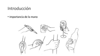 Trauma de mano- Anatomia descriptiva ashg | PPTX