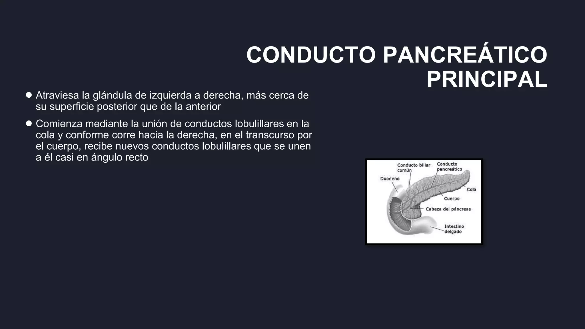 Trauma de páncreas.pptx