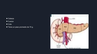 Trauma de páncreas.pptx