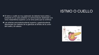 Trauma de páncreas.pptx